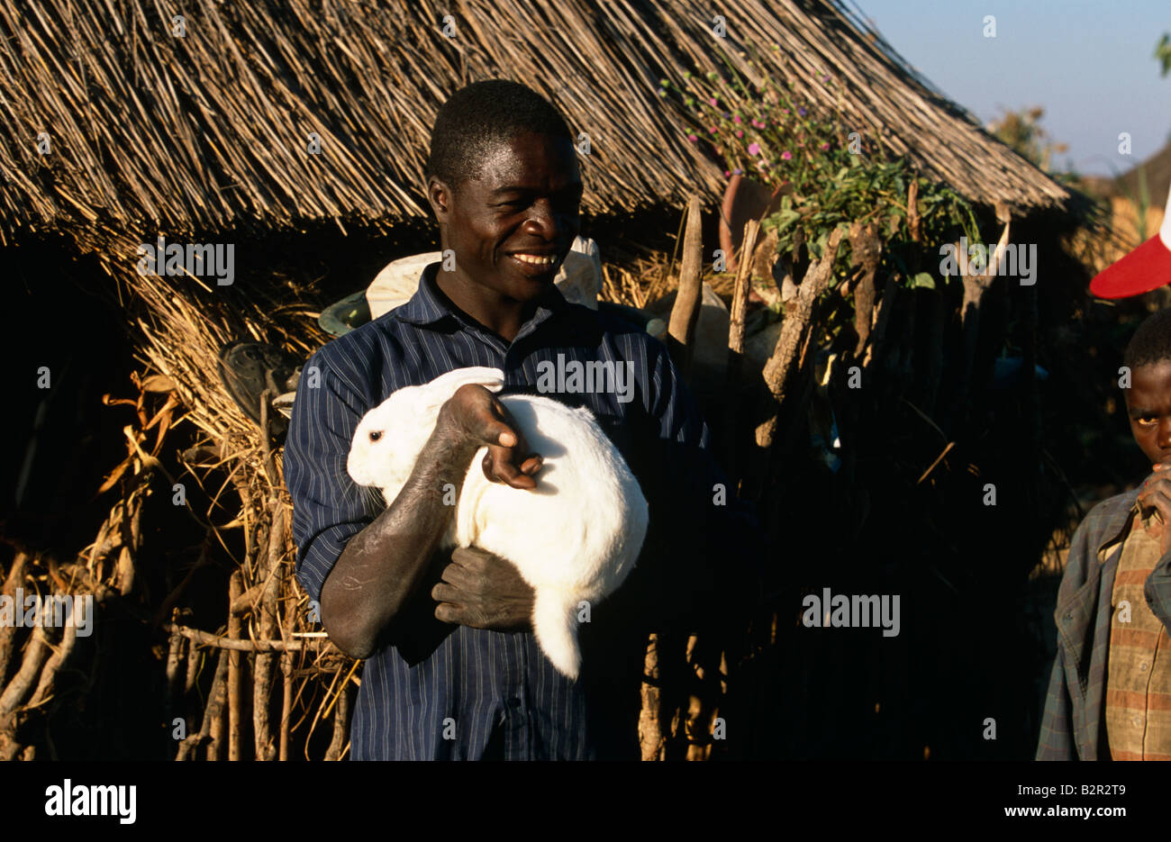 Handicapped farmer carrying rabbit in arms, Angola, Africa Stock Photo ...