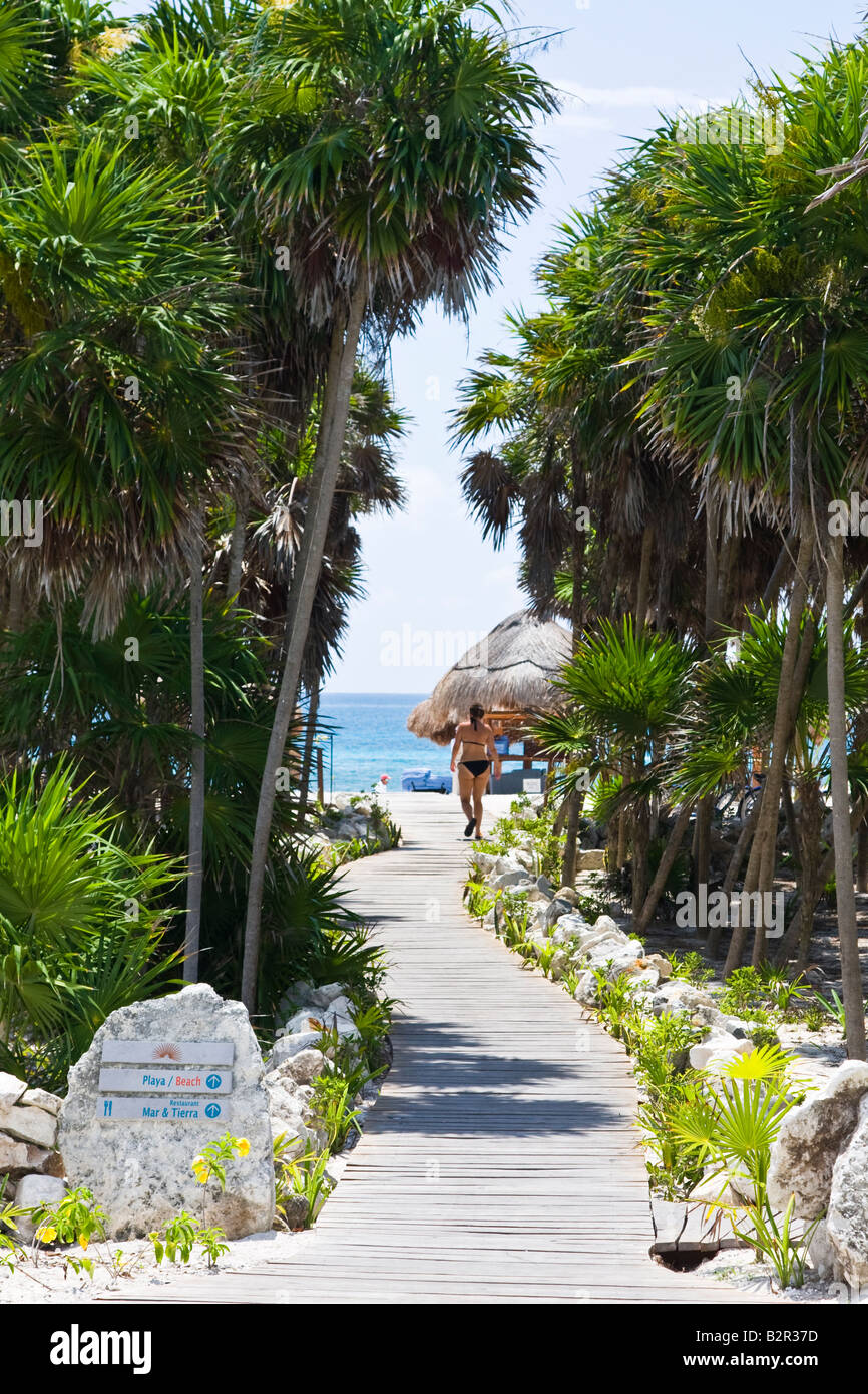 Wooden pathway leads to the beach area of luxury resort hotel on Mayan ...