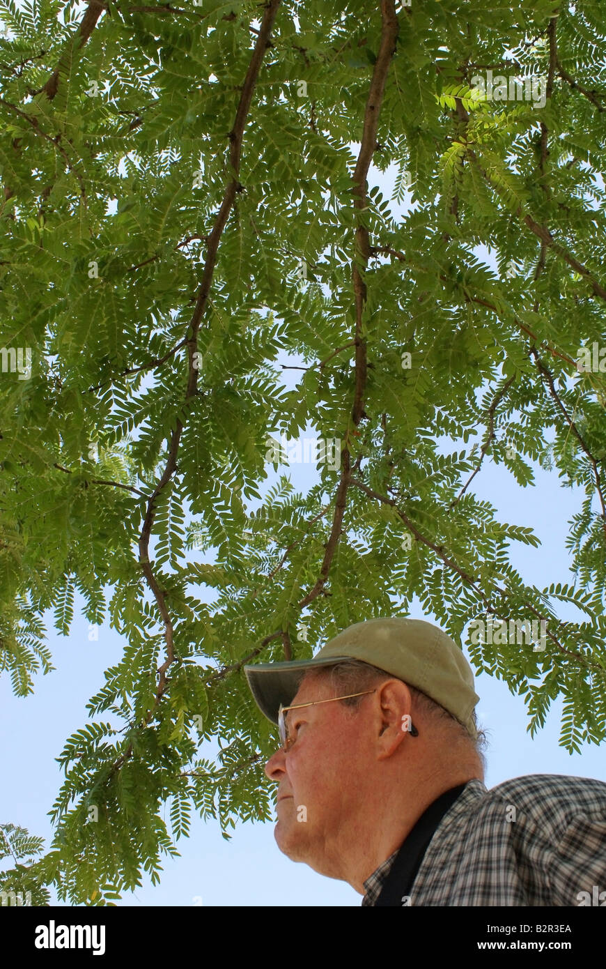 50 shade of blue hi-res stock photography and images - Alamy