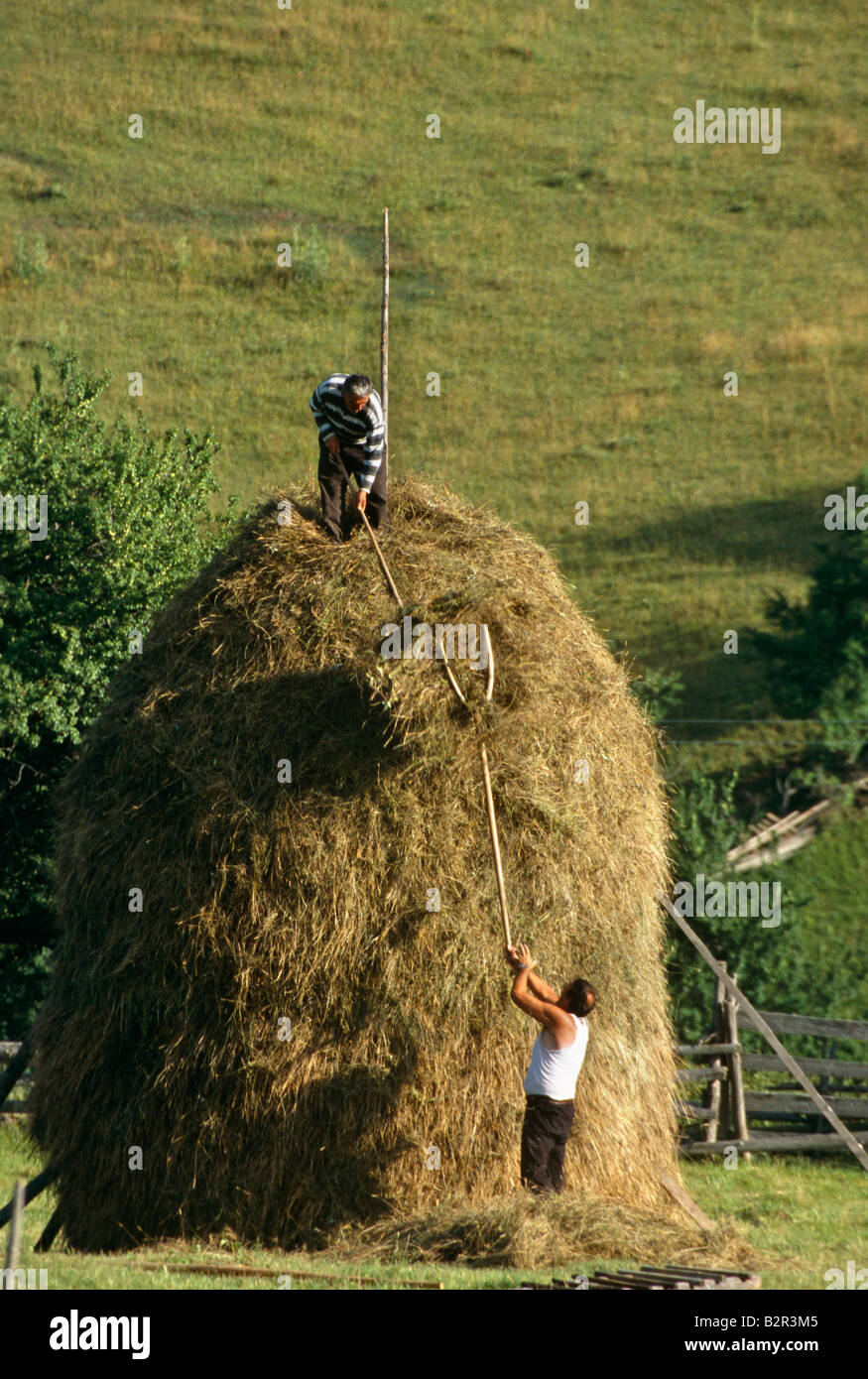 Helping hand farmers hi-res stock photography and images - Alamy