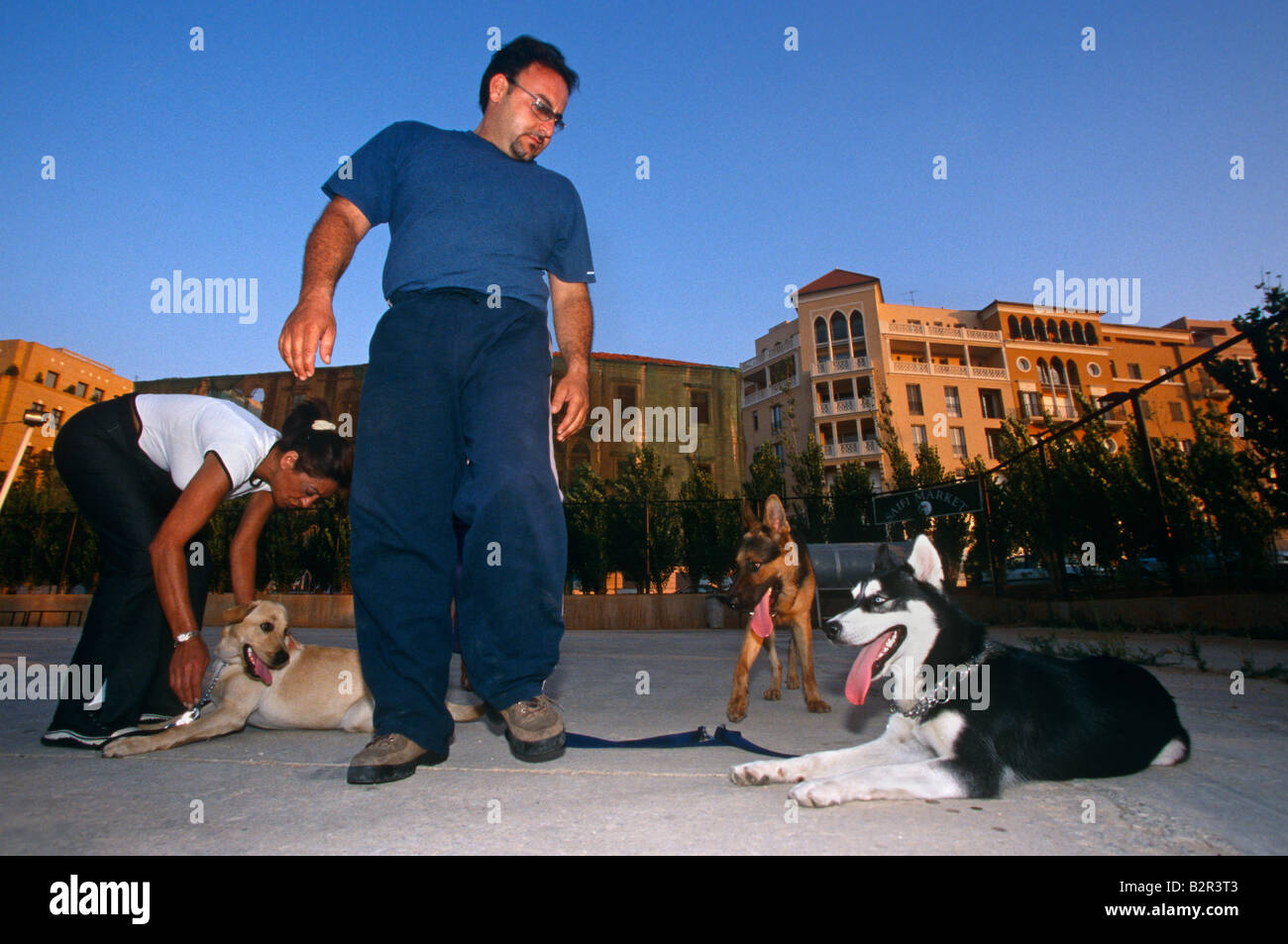 Lebanon shepherd hi-res stock photography and images - Alamy