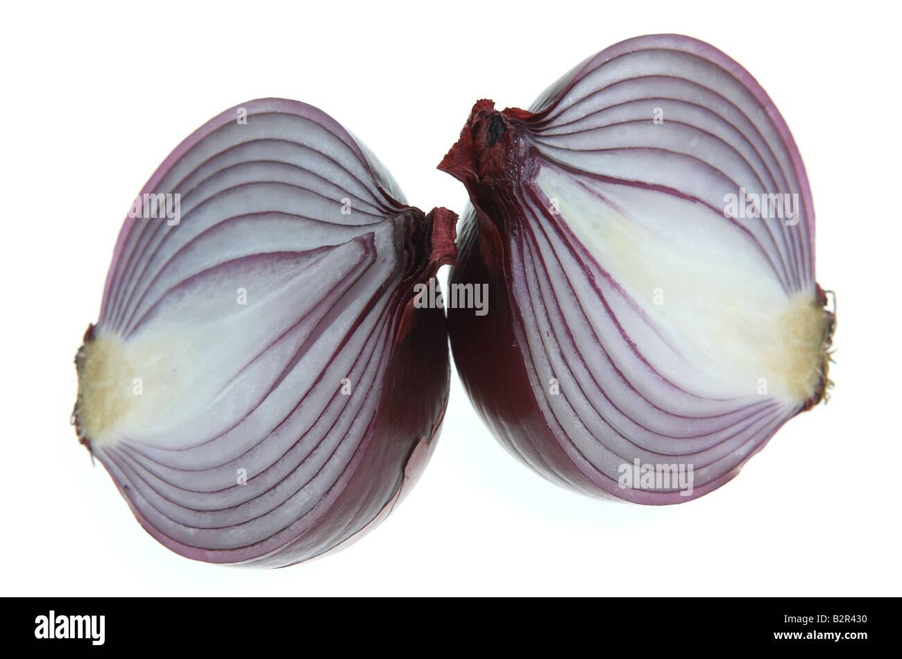 A red onion cut in half revealing flesh of onion Stock Photo - Alamy