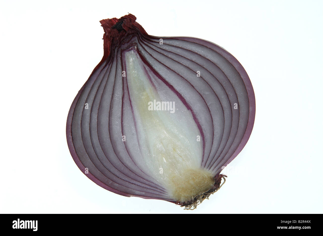 Layers of flavor Cut Out Stock Images & Pictures - Alamy
