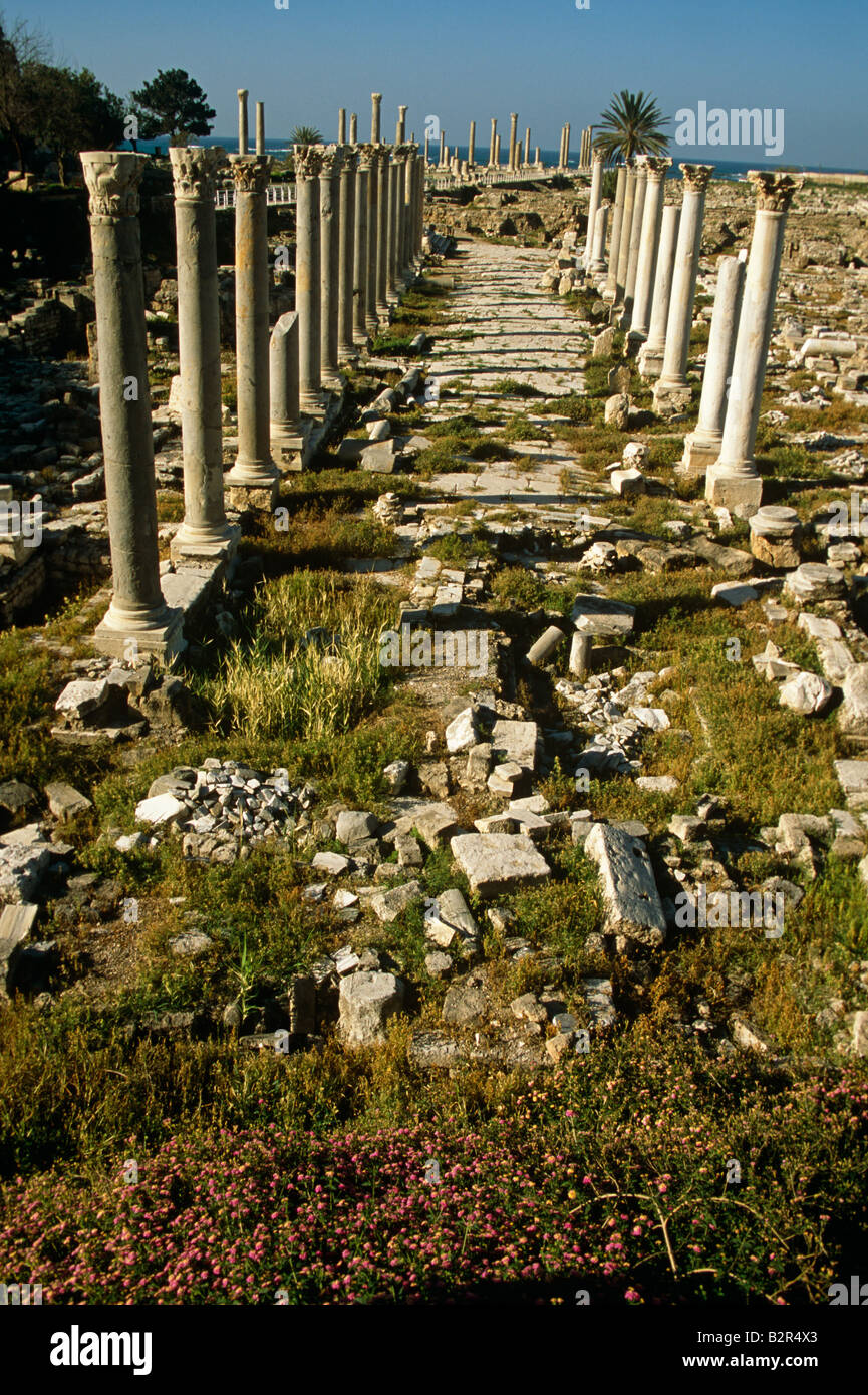 Ruins of ancient city, Tyre, Lebanon Stock Photo - Alamy
