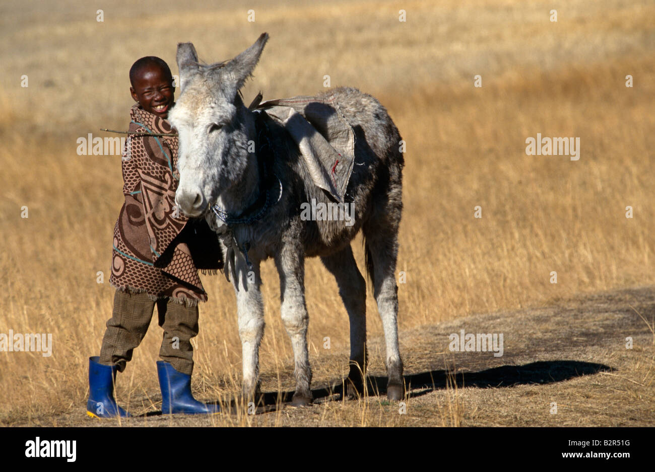Boy wrapped in basotho blanket with his donkey in grassland, portrait ...