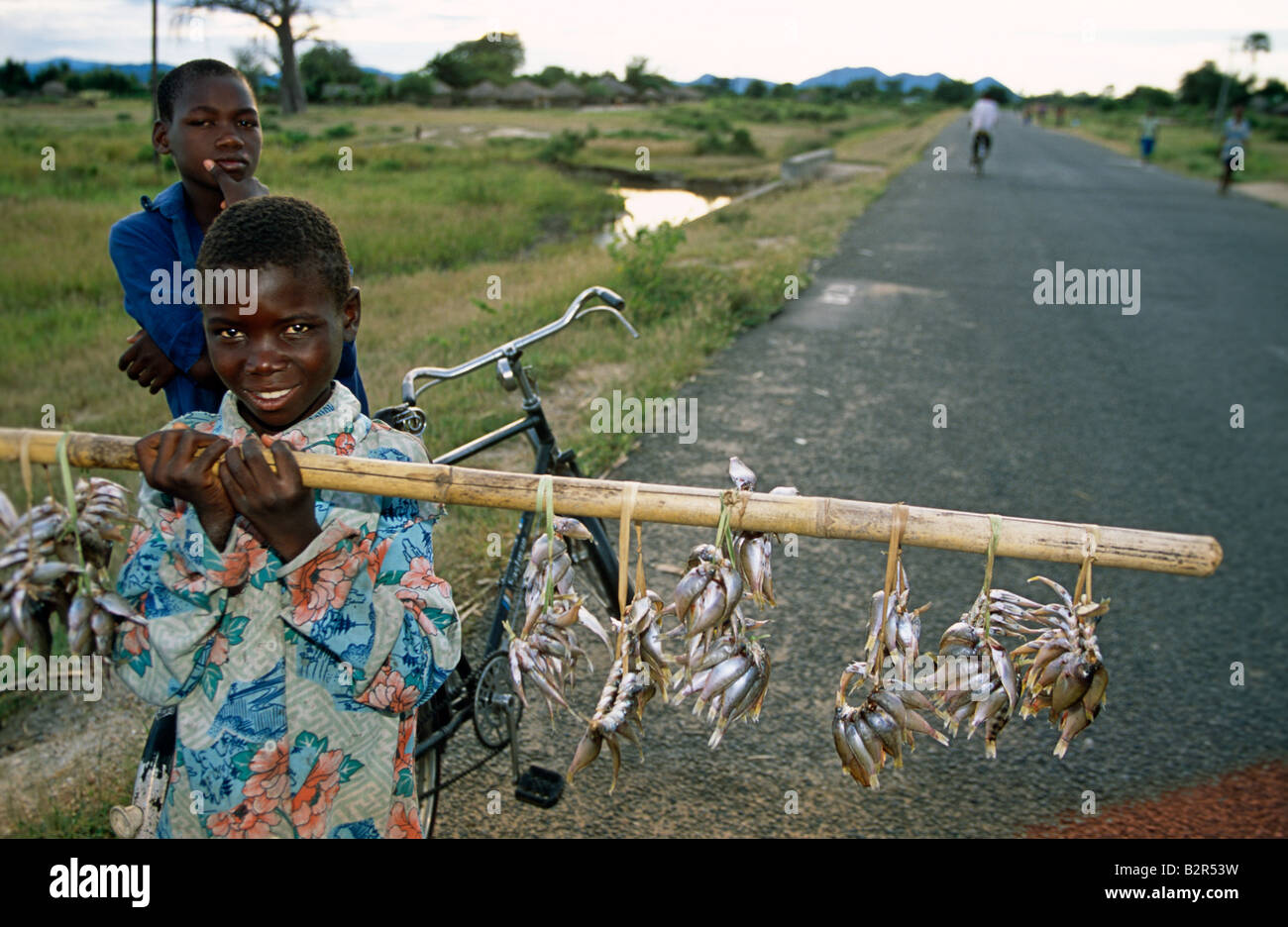 Boy selling dried fish on rural roadside, portrait, Malawi, Africa ...