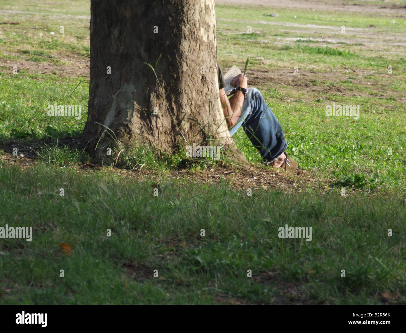 man reading book in villa borghese park in rome Stock Photo - Alamy