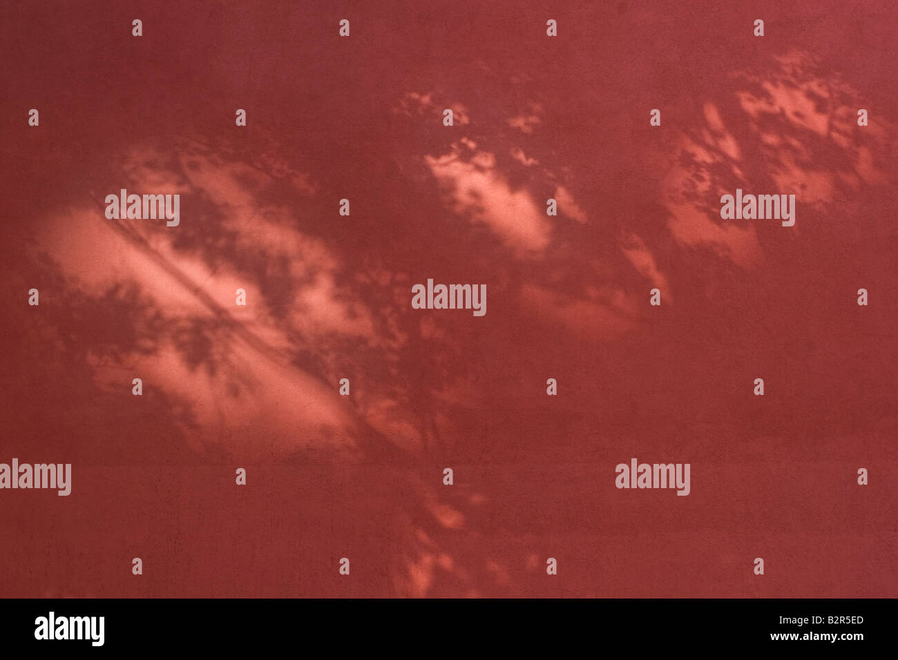 Shadow of a tree on a red wall Stock Photo - Alamy