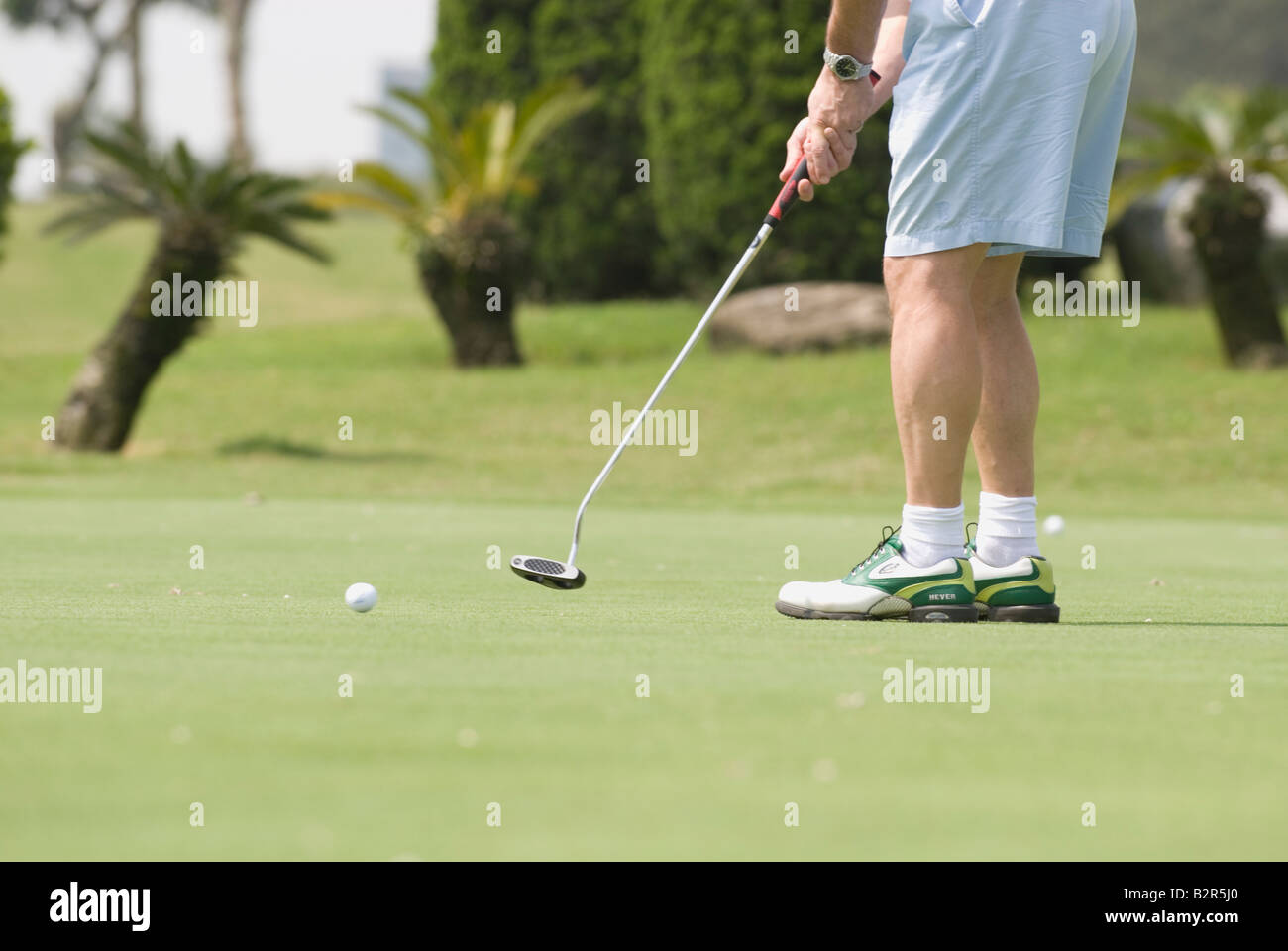 Close-up of golfer putting Stock Photo - Alamy