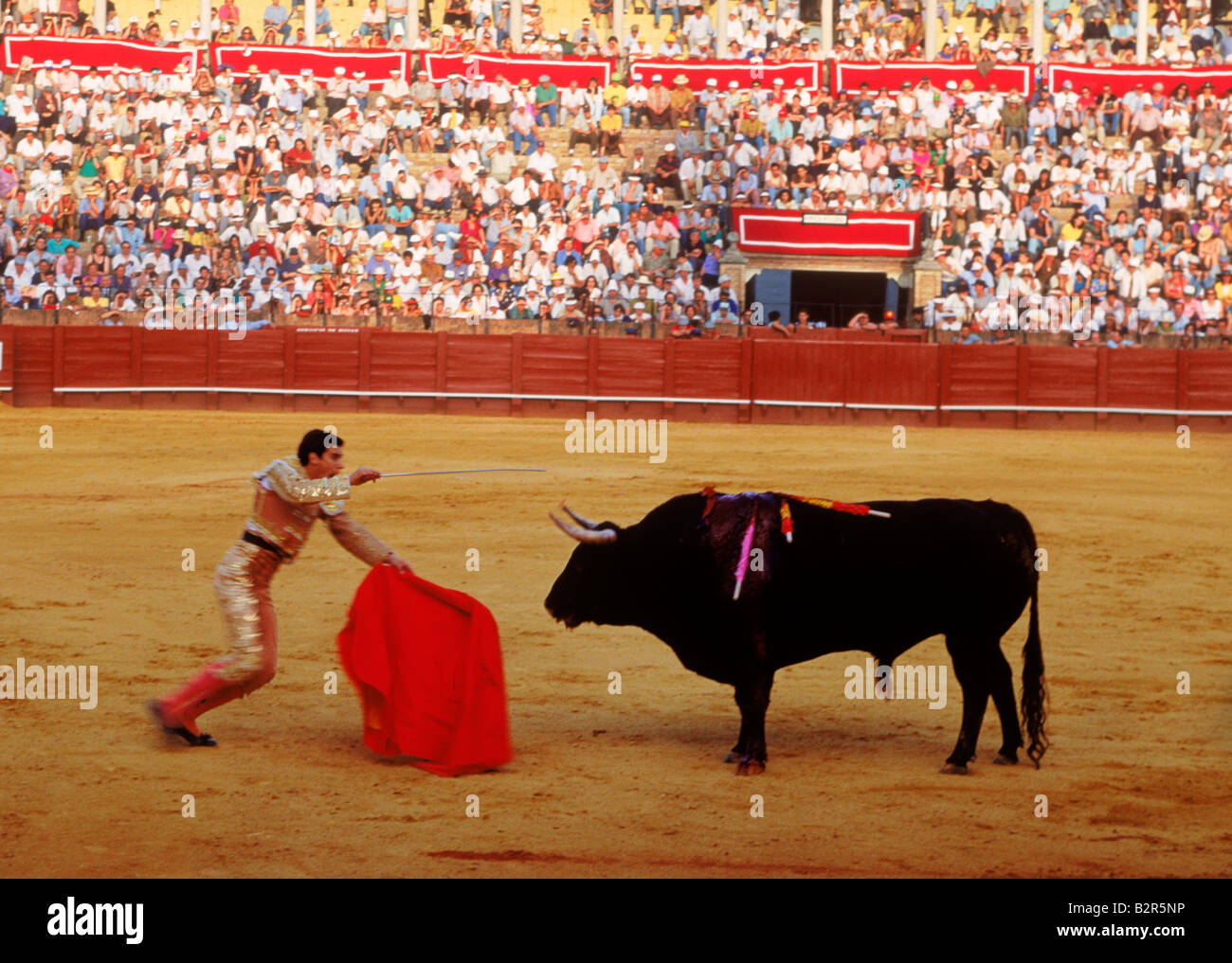 Matador preparing for kill bull in Maestranza Bullring in Seville ...