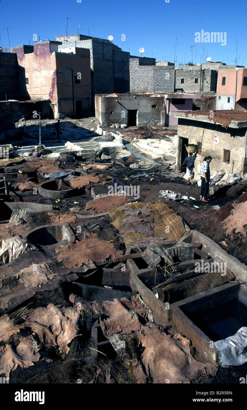 Tannery, Marrakech, Morocco Stock Photo - Alamy