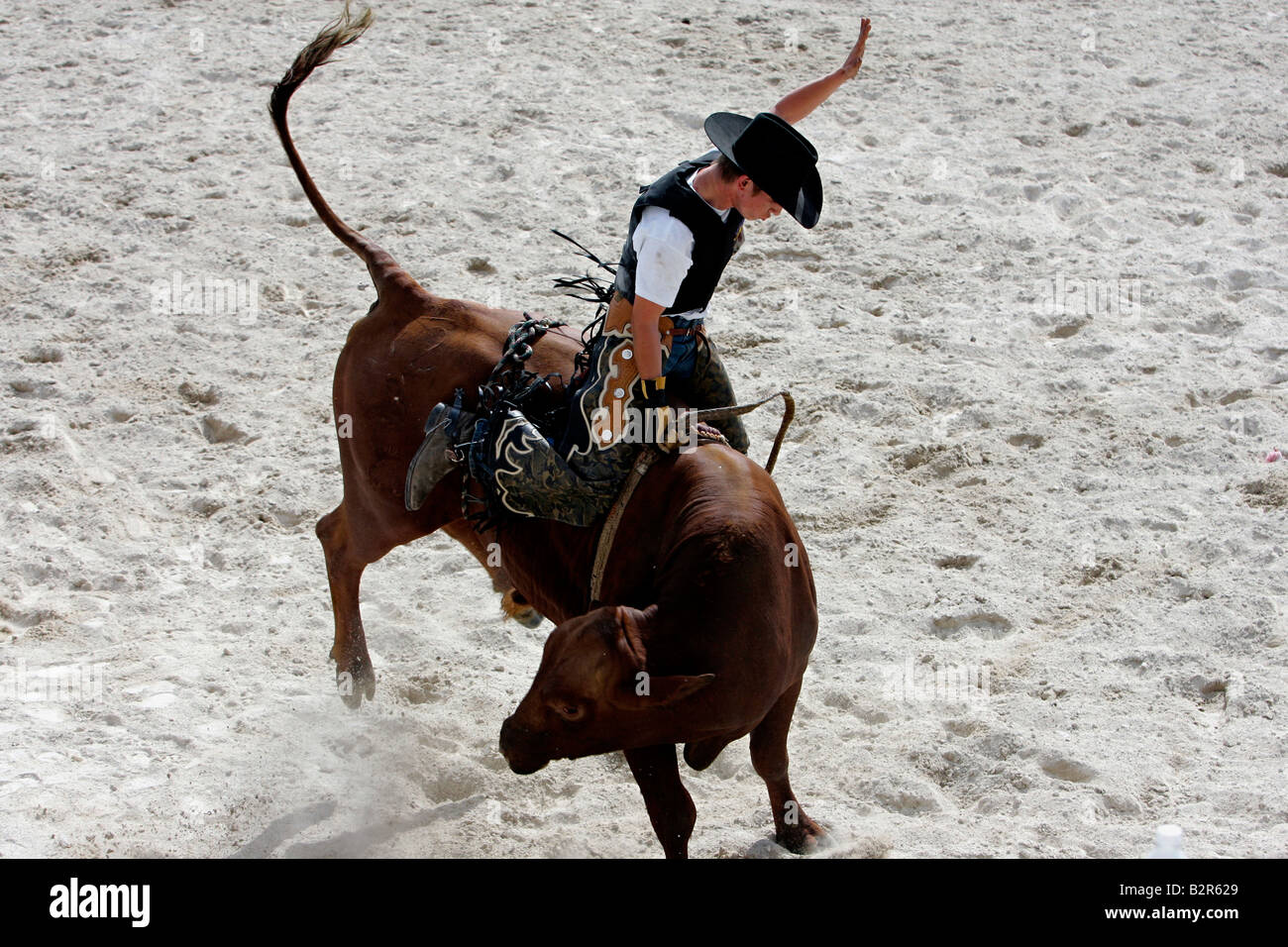 US HOMESTEAD Sankey s Rodeo School Bullriding PHOTO GERRIT DE HEUS ...