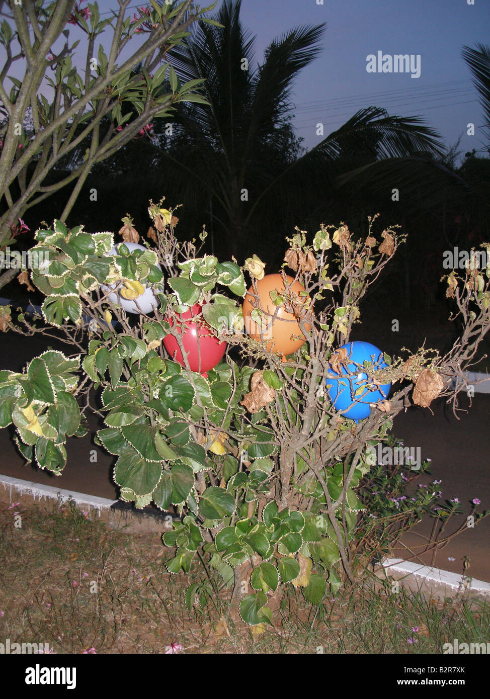 Bush party hi-res stock photography and images - Alamy