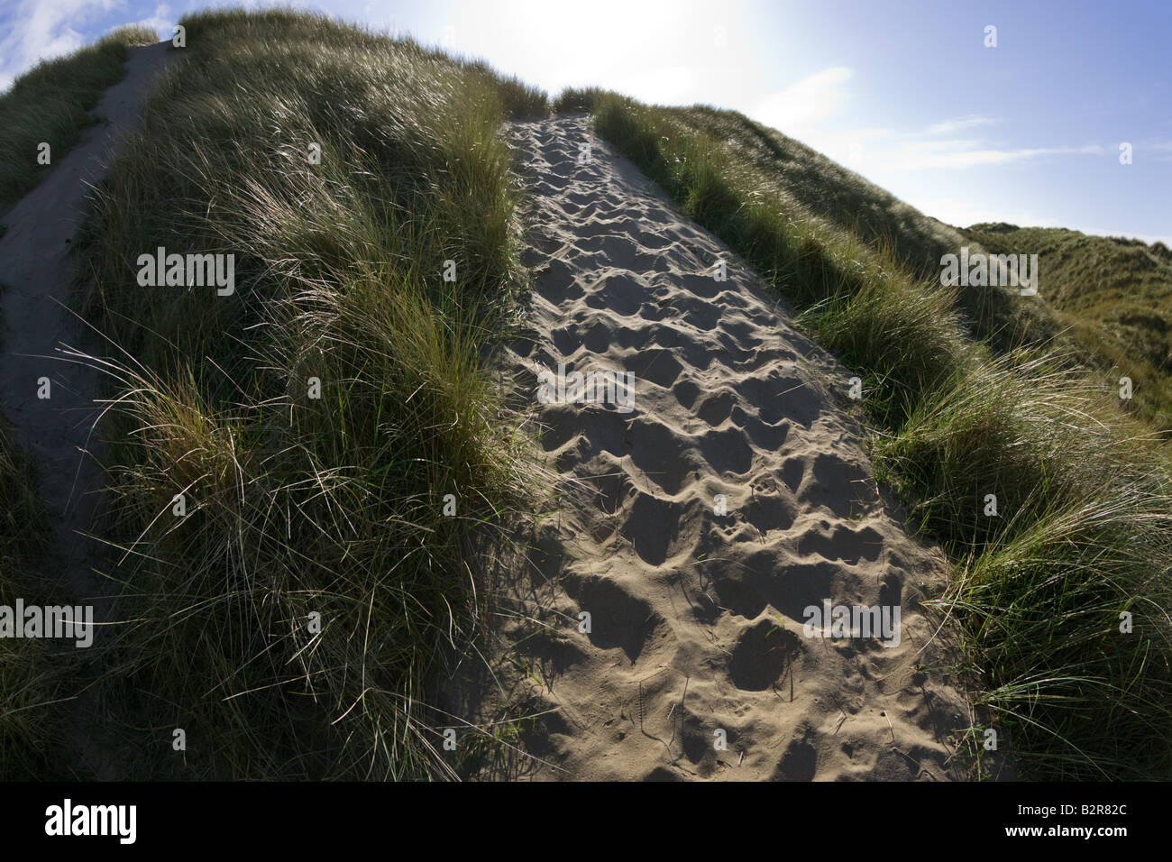 Footpath in sand dunes hi-res stock photography and images - Alamy