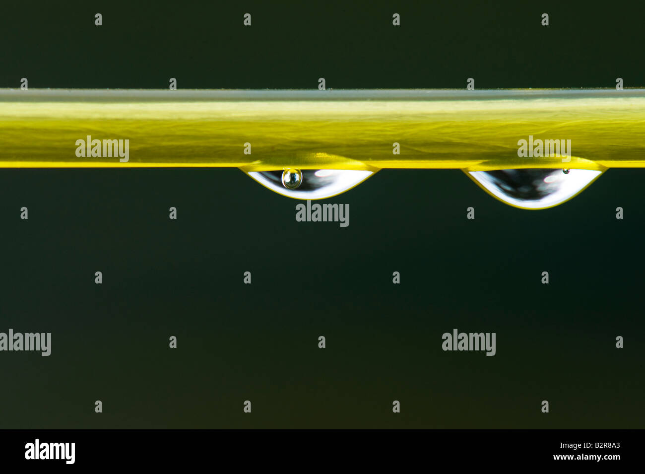 Dripping line hi-res stock photography and images - Alamy