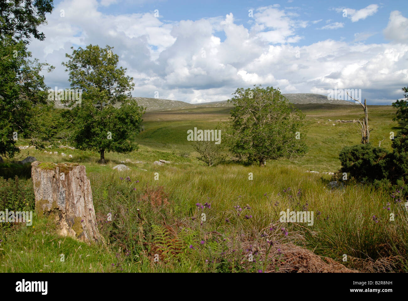 Landscape in the South of Glenveagh National Park, Inishowen Peninsular ...