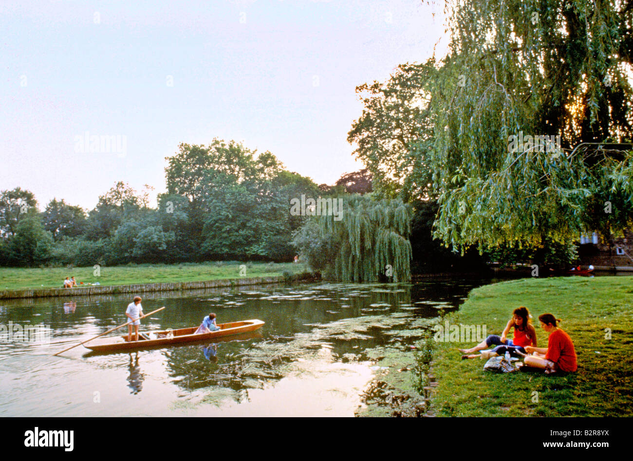 punting on the river cam cambridge Stock Photo - Alamy