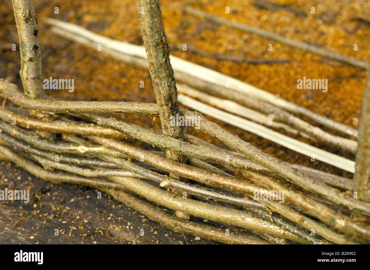 coppicing weaving fence spark bridge cumbria Stock Photo - Alamy