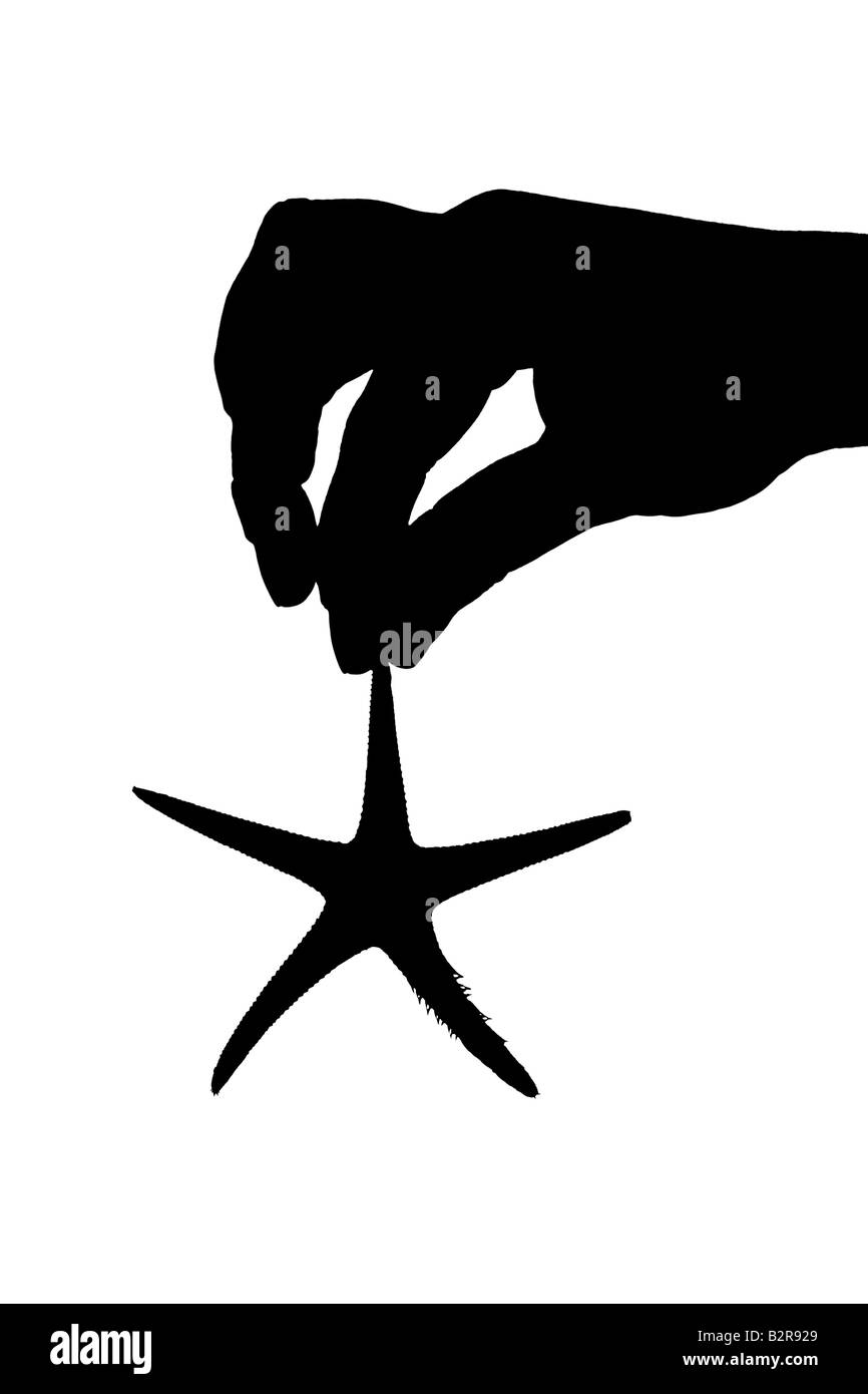 The hand, on the beach Cut Out Stock Images & Pictures - Alamy