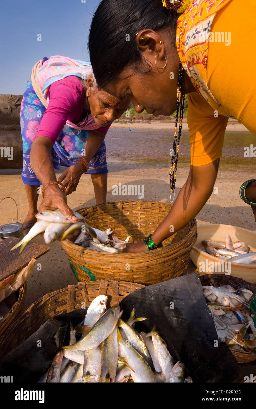 Fish sorting india hi-res stock photography and images - Alamy