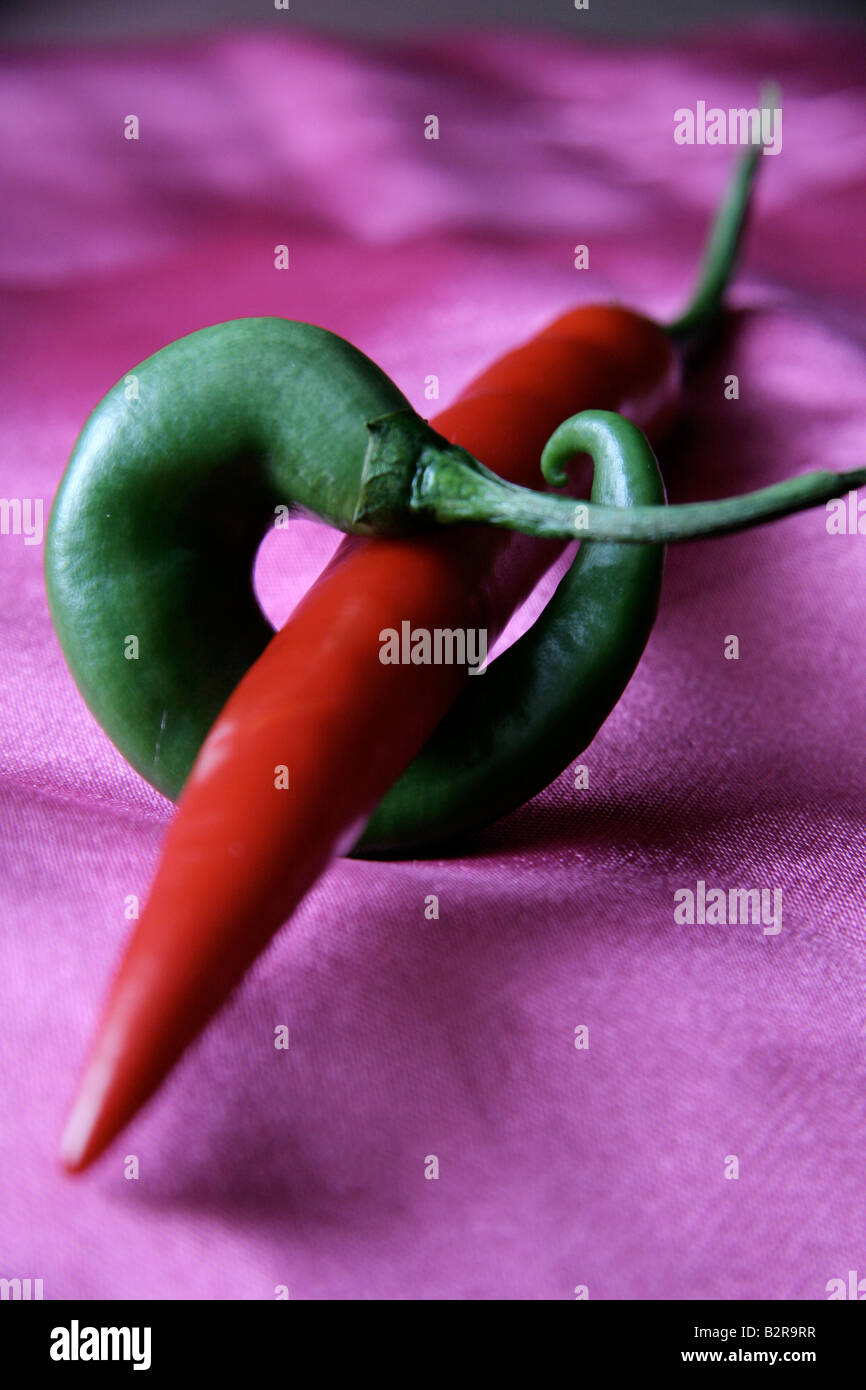 A picture of 2 Chilli's taken for an Indian Restaurant Stock Photo - Alamy