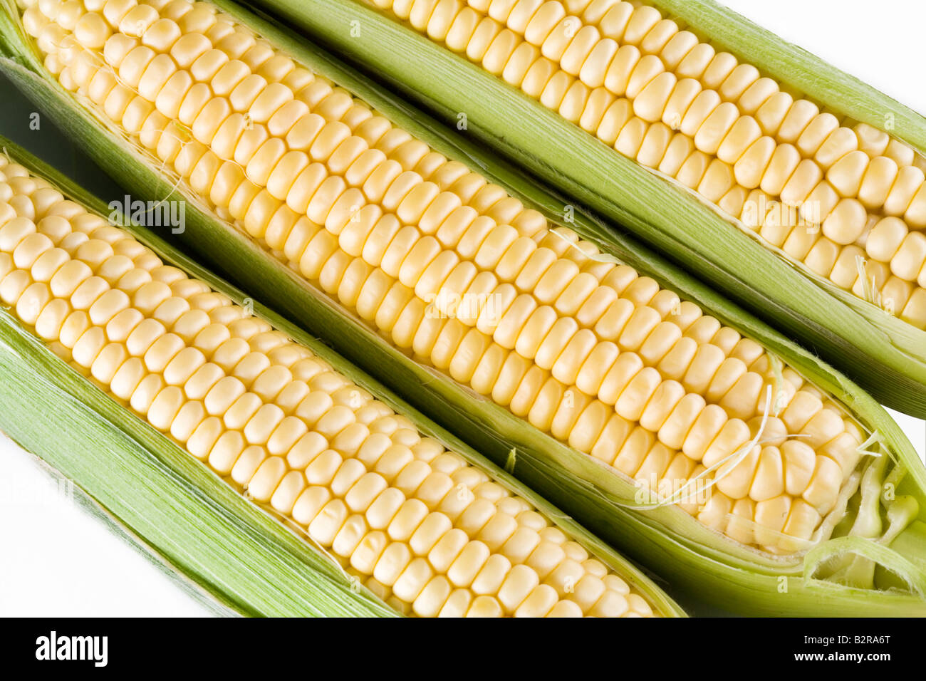 Ear of grain hi-res stock photography and images - Alamy