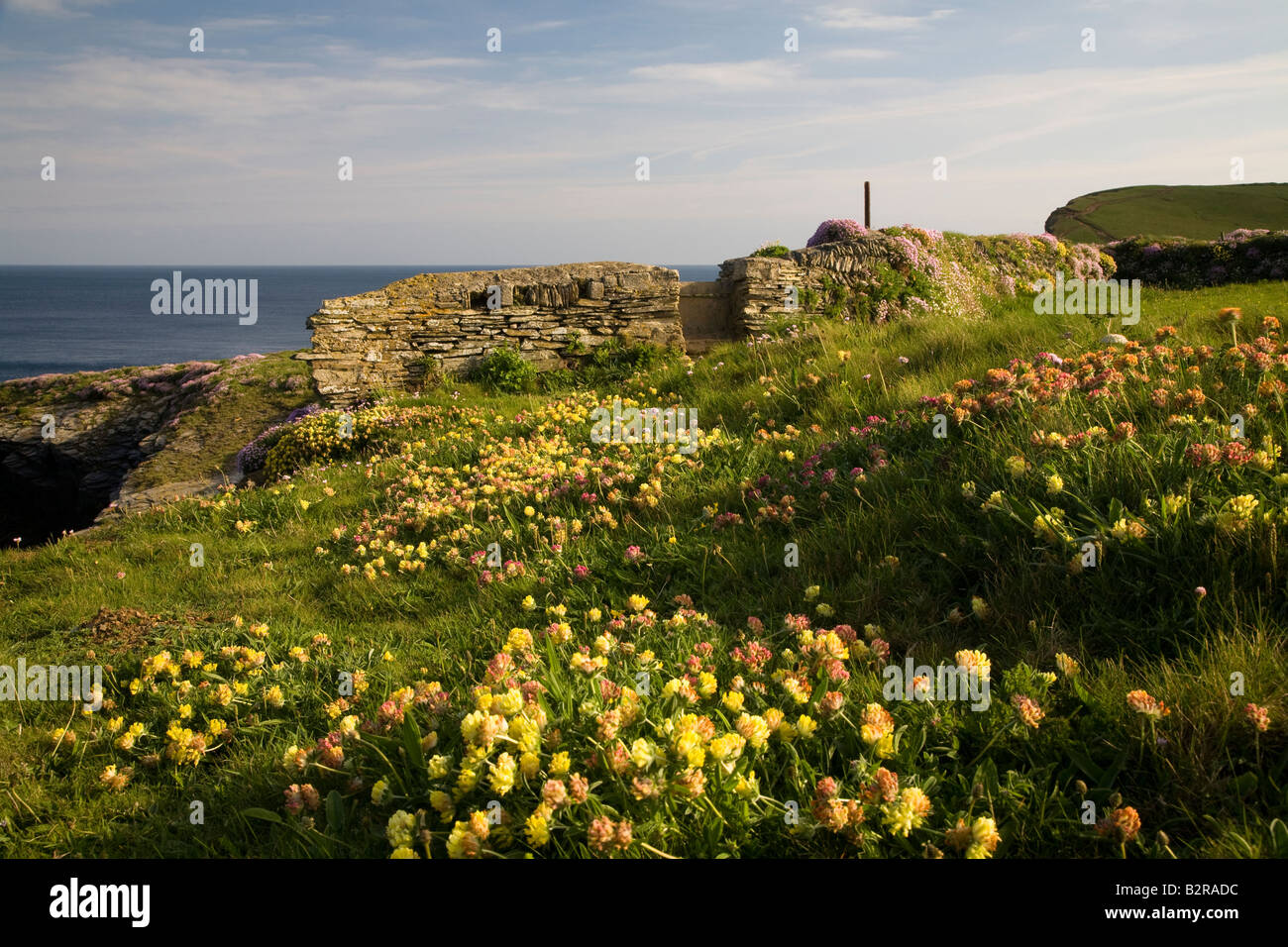 Trevone Cliffs Cornwall, Atlantic coast England with spring flowers ...