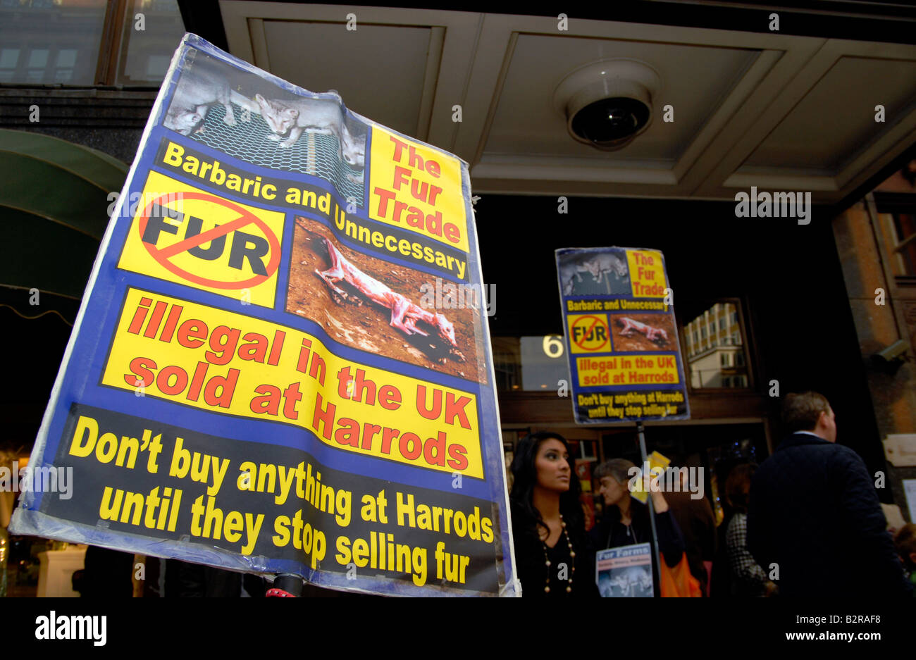 Protest by CAFT,Coalition to Abolish the Fur Trade,outside Harrods ...