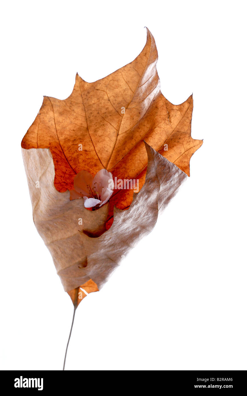 Folded structure hi-res stock photography and images - Alamy