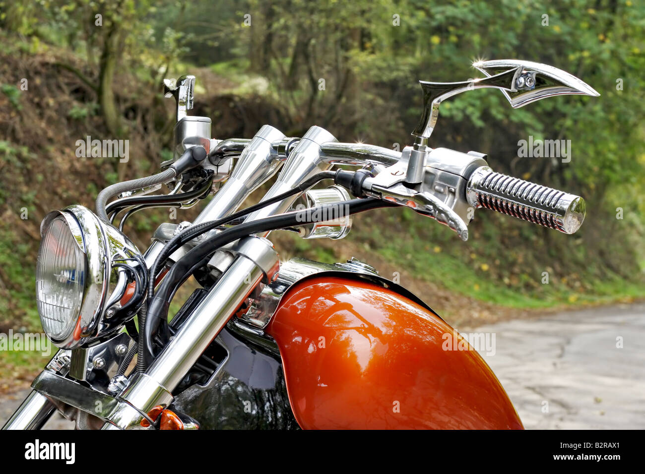 motorcycle on a road in the forest Stock Photo - Alamy