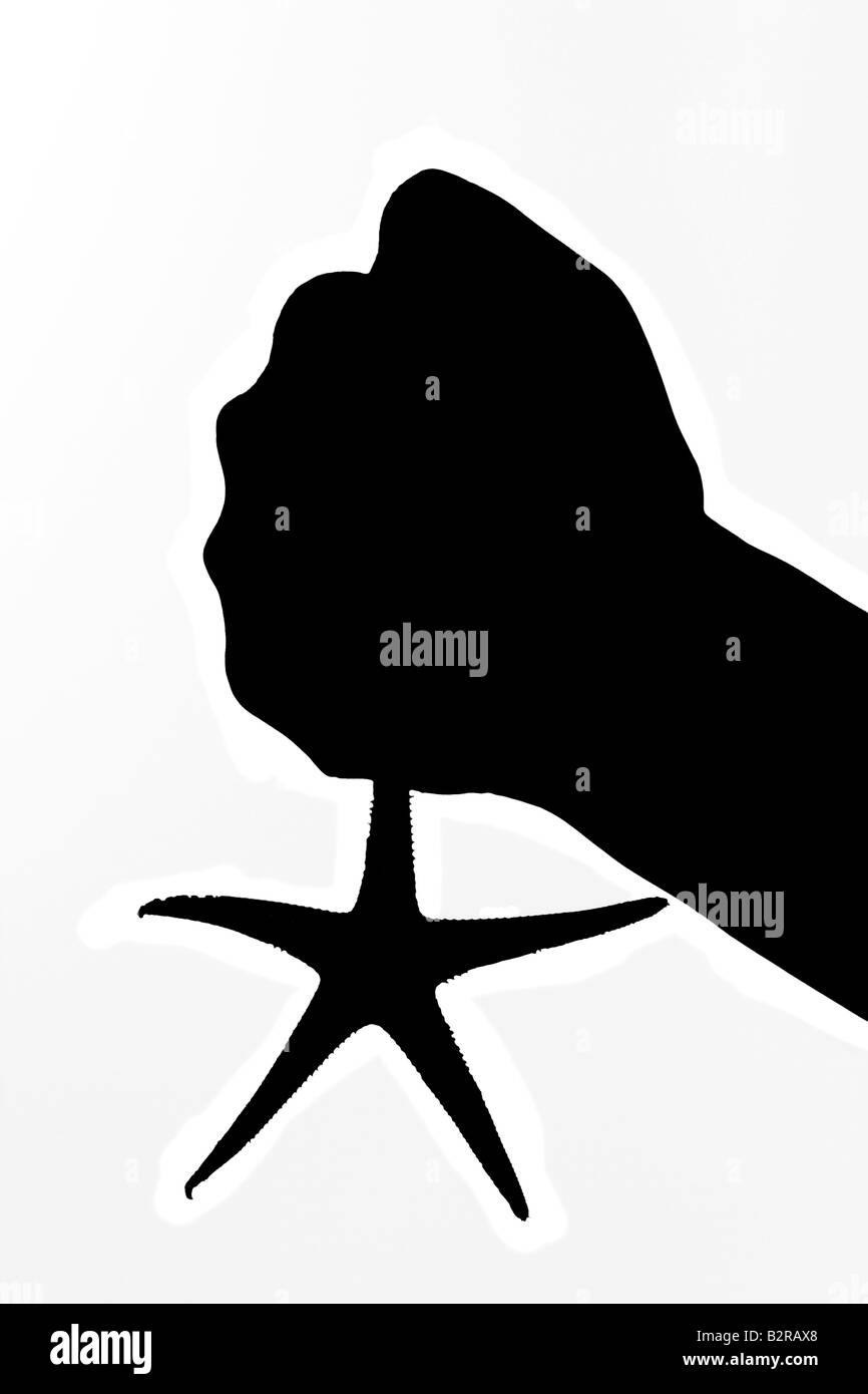 Beach shell hand Black and White Stock Photos & Images - Alamy