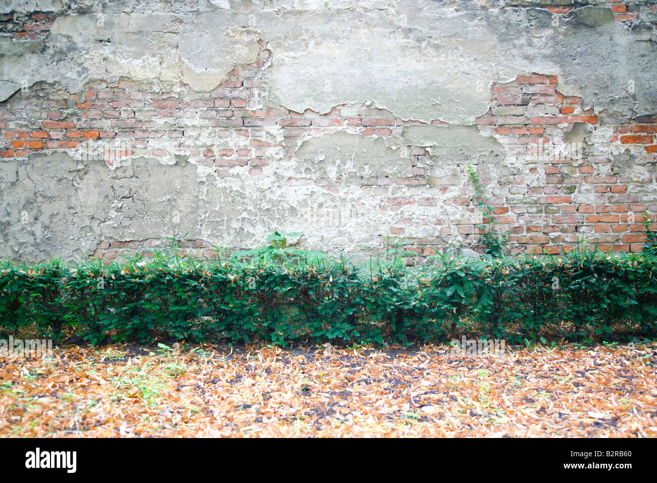 An old crumbling wall in a Berlin cemetry Stock Photo - Alamy