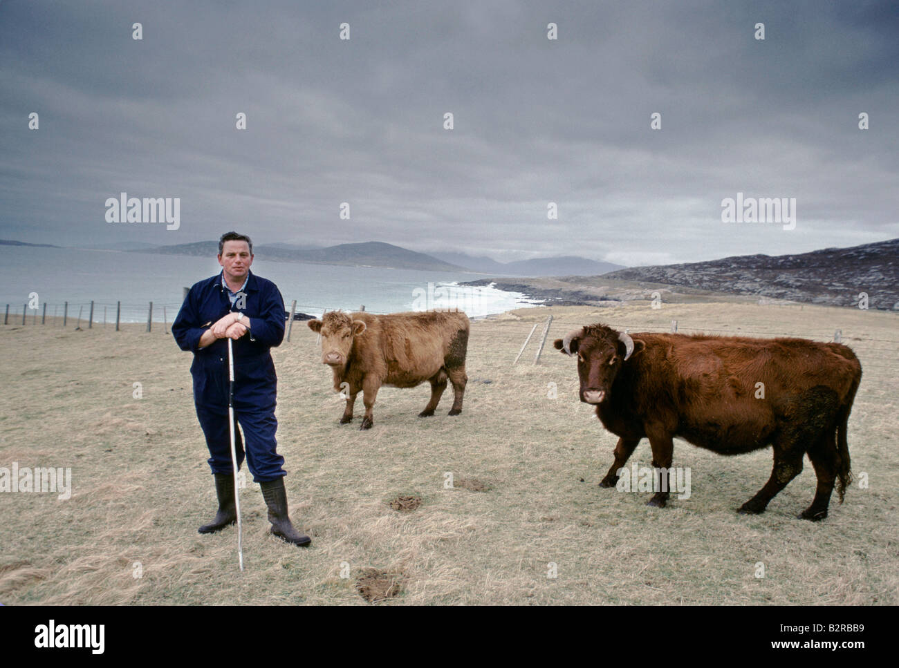 crofter isle of harris scotland 1994 Stock Photo - Alamy