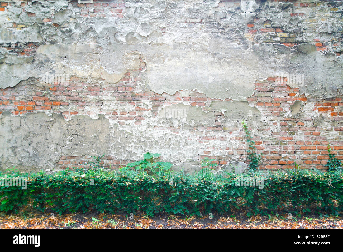 An old crumbling wall in a Berlin cemetry Stock Photo - Alamy