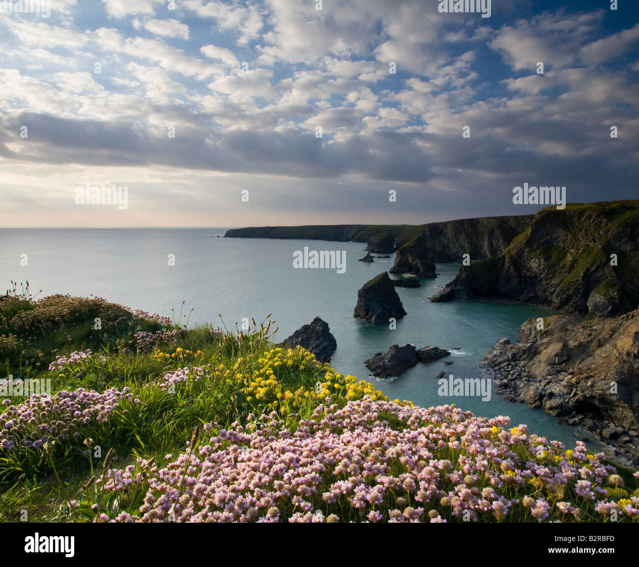 Seaweed on steps hi-res stock photography and images - Alamy