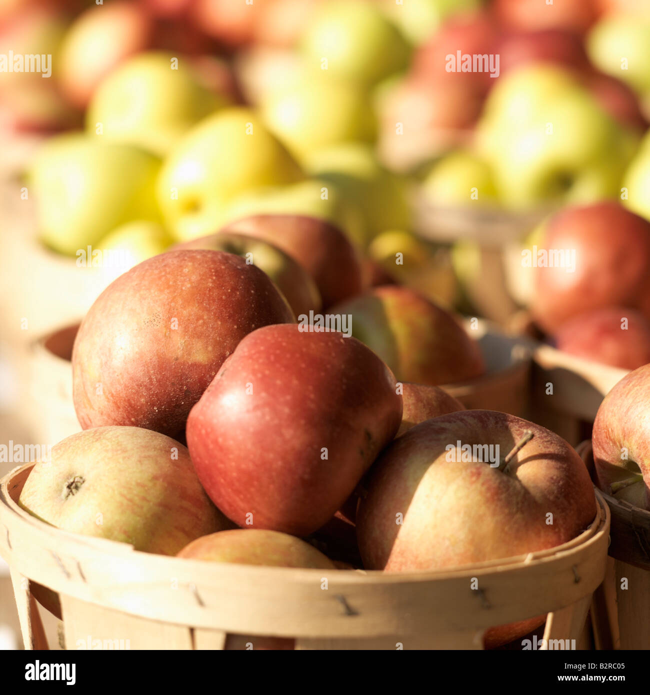 basket of apples at a local farm market Stock Photo - Alamy