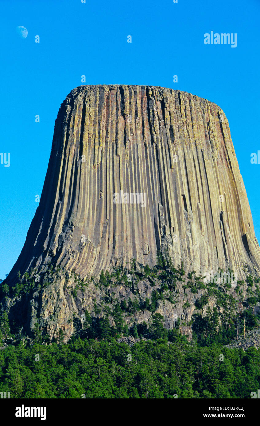 Vertical american devils tower devils tower travel wyoming hi-res stock ...
