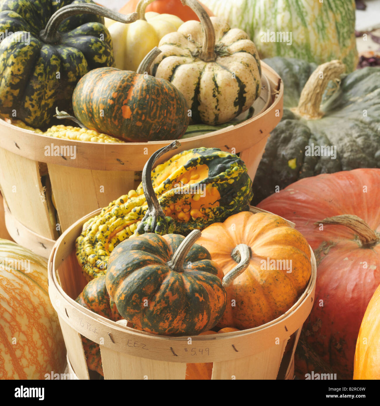 Mini gourds hi-res stock photography and images - Alamy
