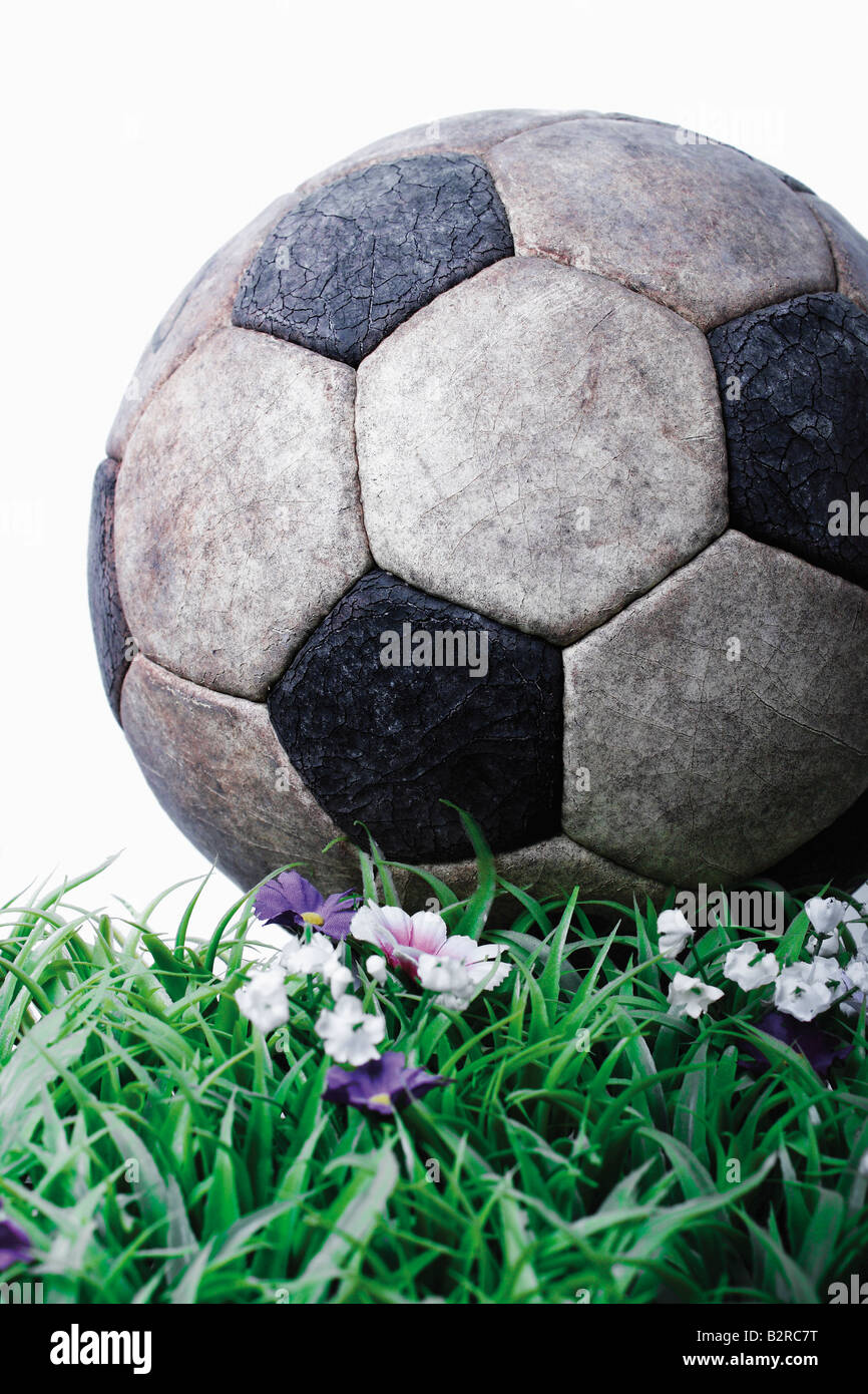 Premier league football cut out hi-res stock photography and images - Alamy
