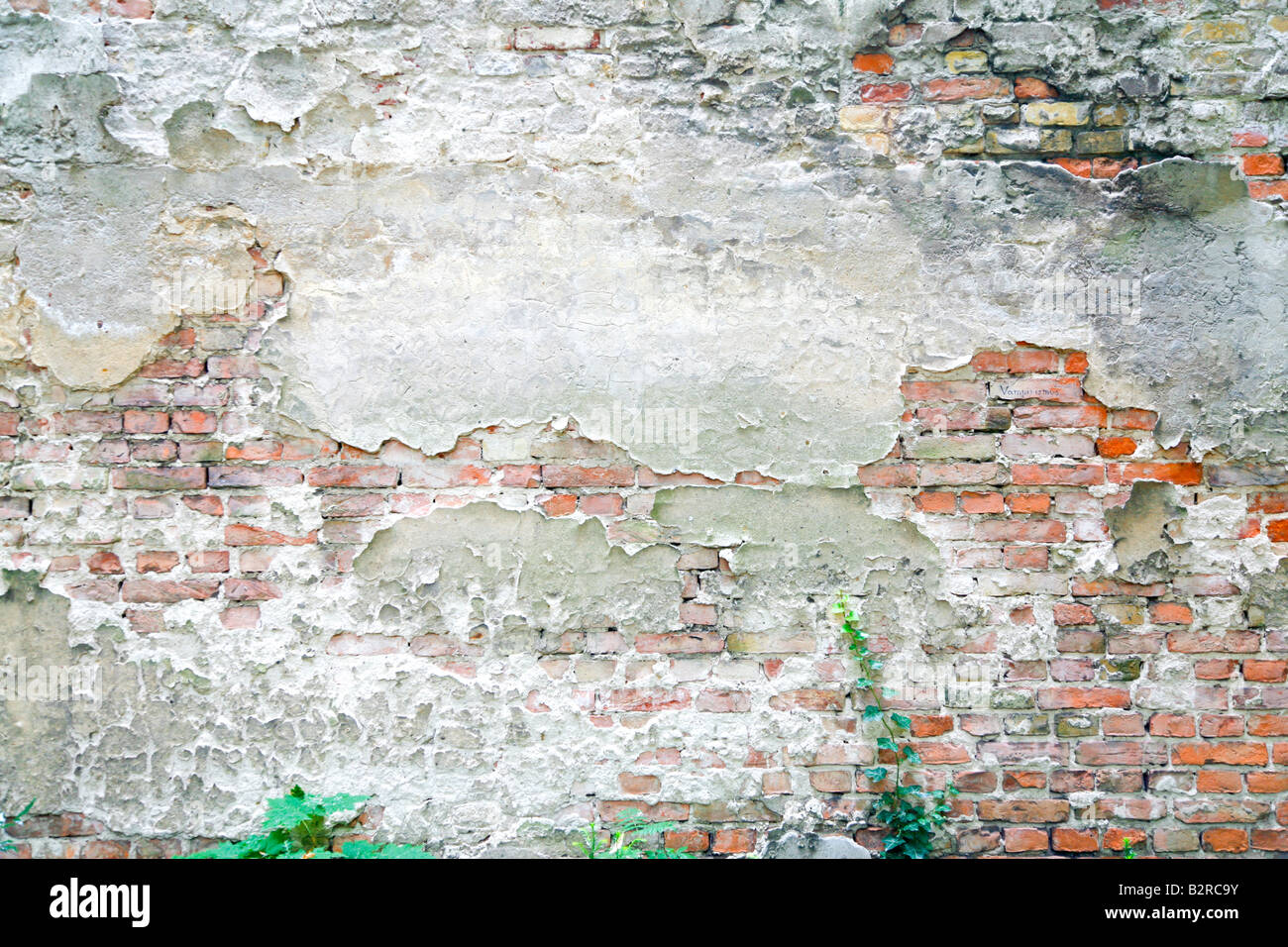 Old crumbling plaster hi-res stock photography and images - Alamy