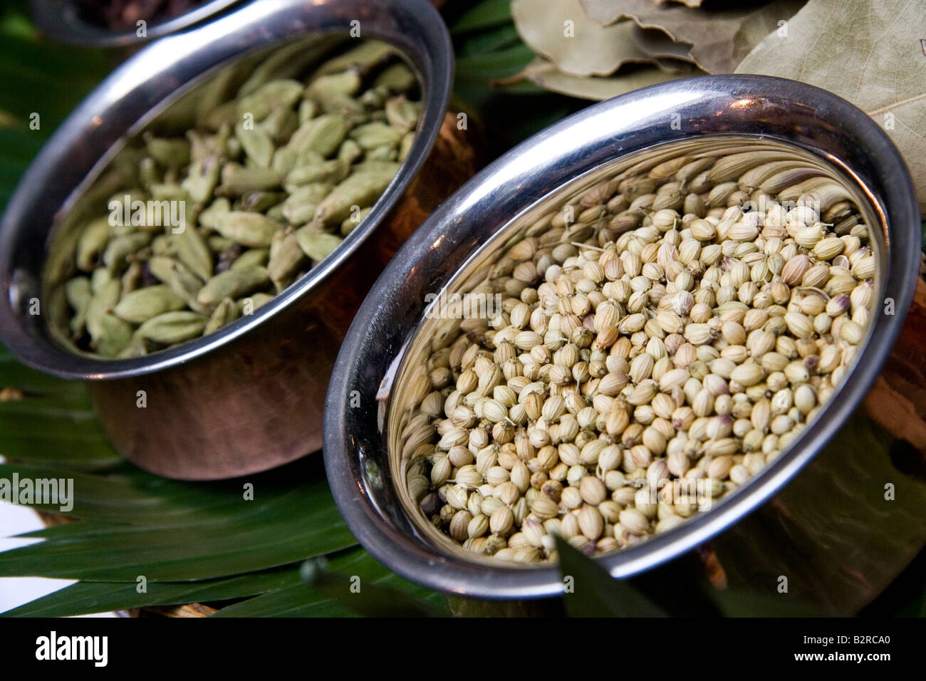 Pictures of Spices taken for an Indian Restaurant Stock Photo - Alamy