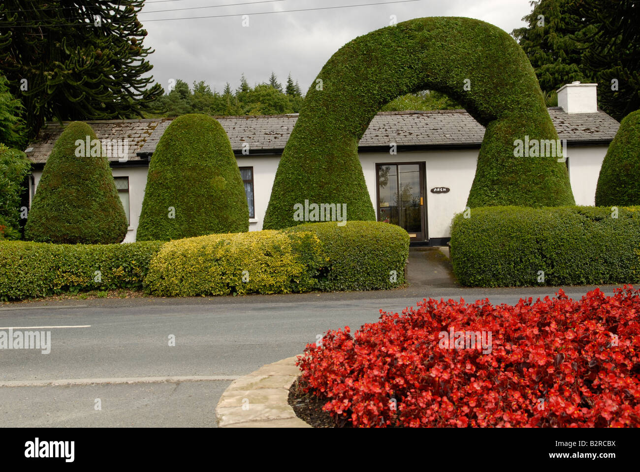 Entrance made out of box trees to a house in Laragh, Wicklow Mountains ...