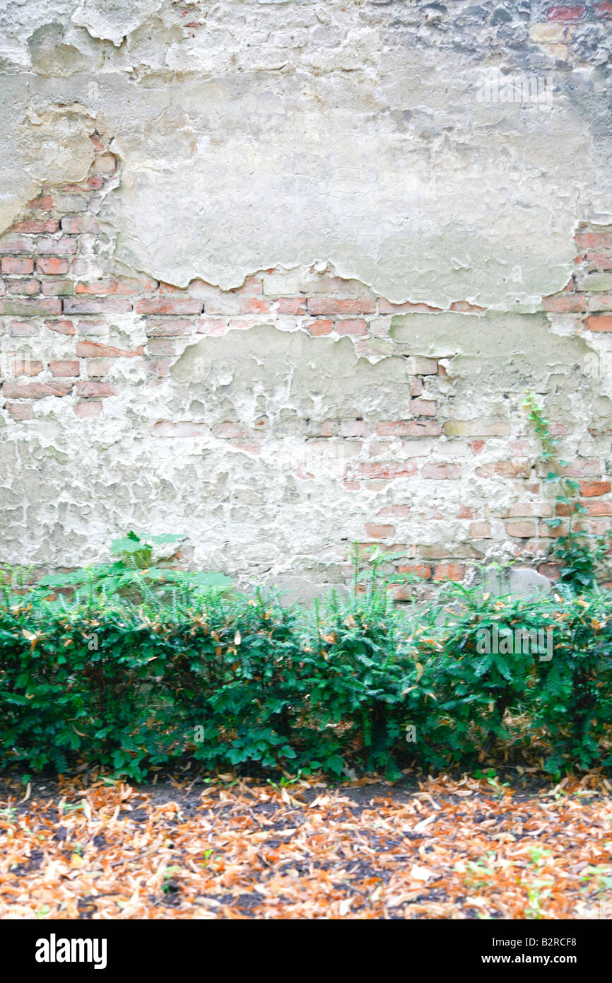 An old crumbling wall in a Berlin cemetery Stock Photo - Alamy