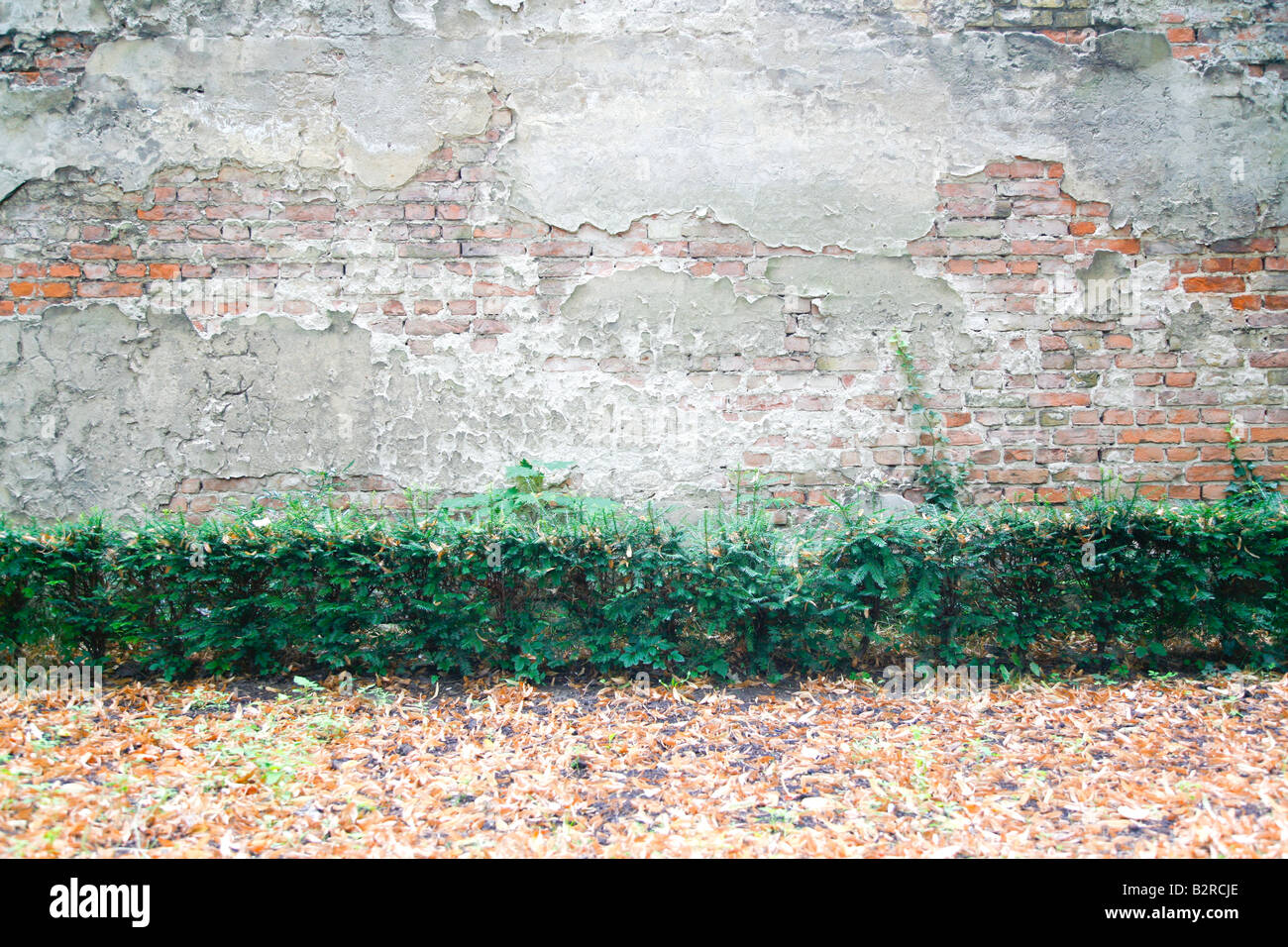 An old crumbling wall in a Berlin cemetry Stock Photo - Alamy
