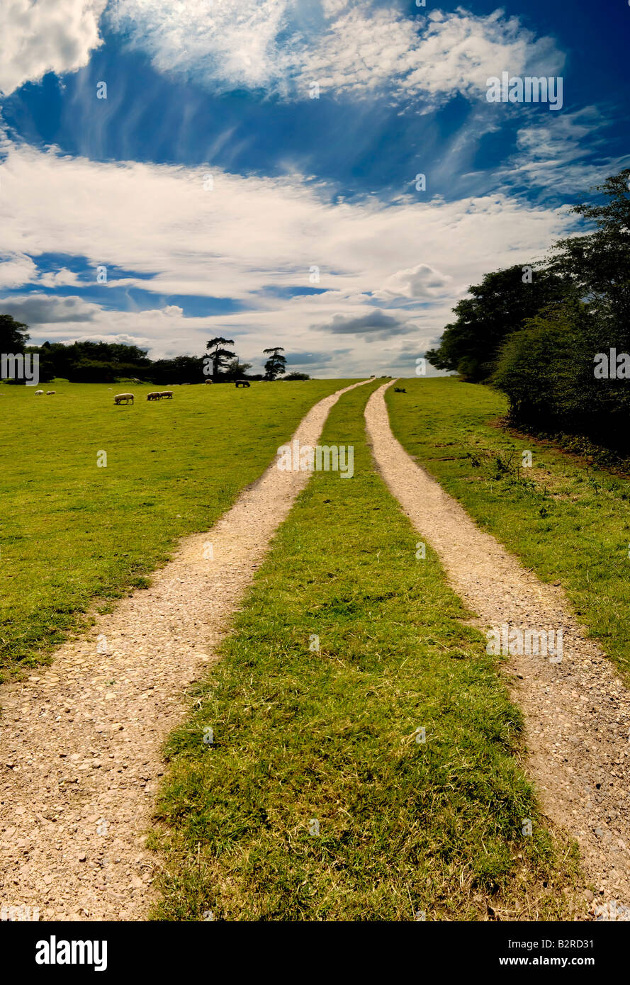 footpath across fields with moody sky Stock Photo - Alamy