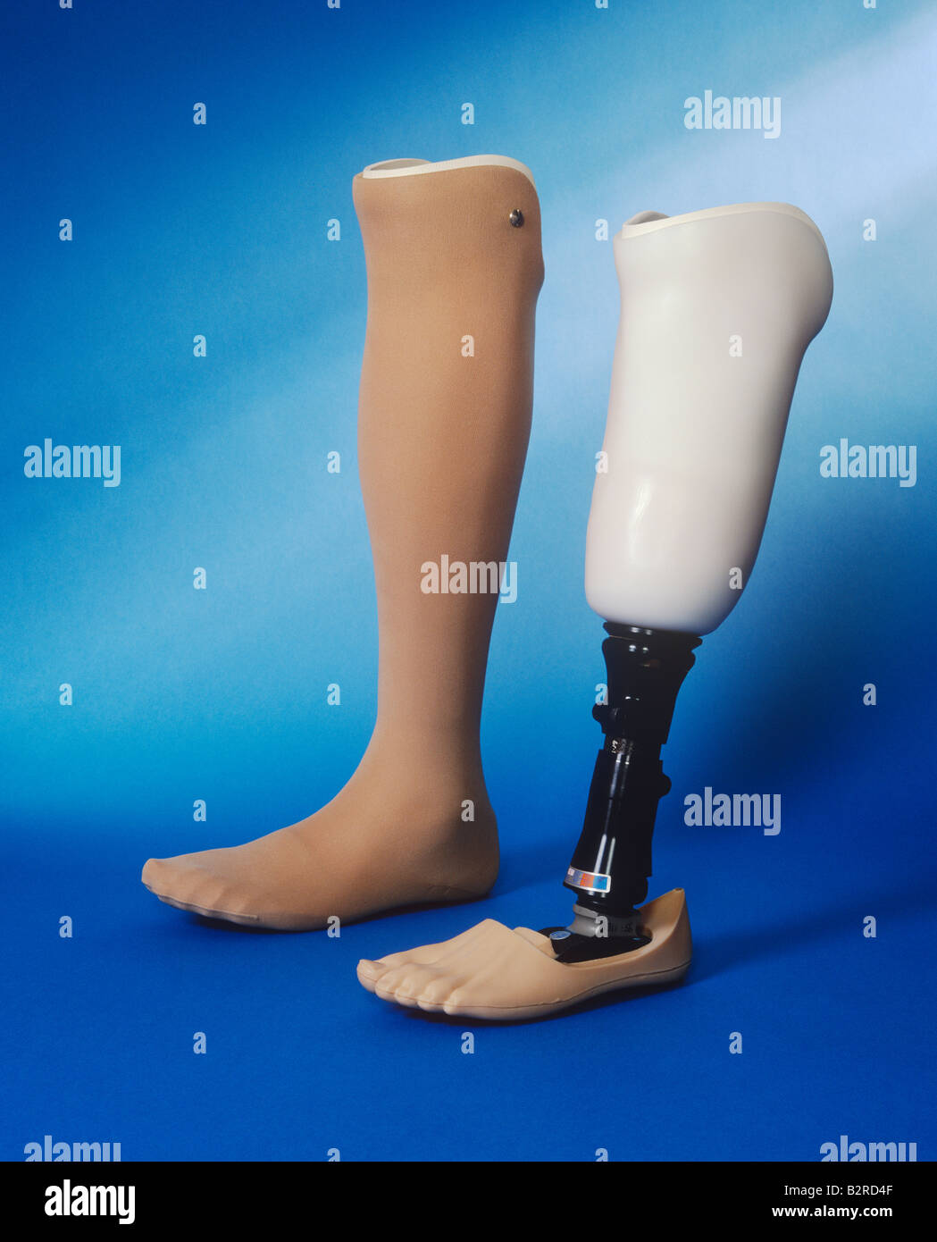 False Leg High Resolution Stock Photography and Images - Alamy