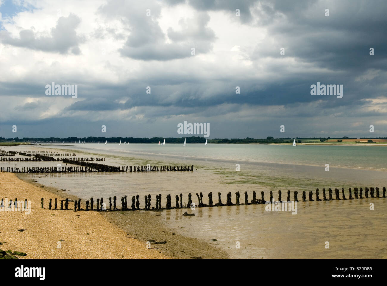 Timber groyne hi-res stock photography and images - Alamy