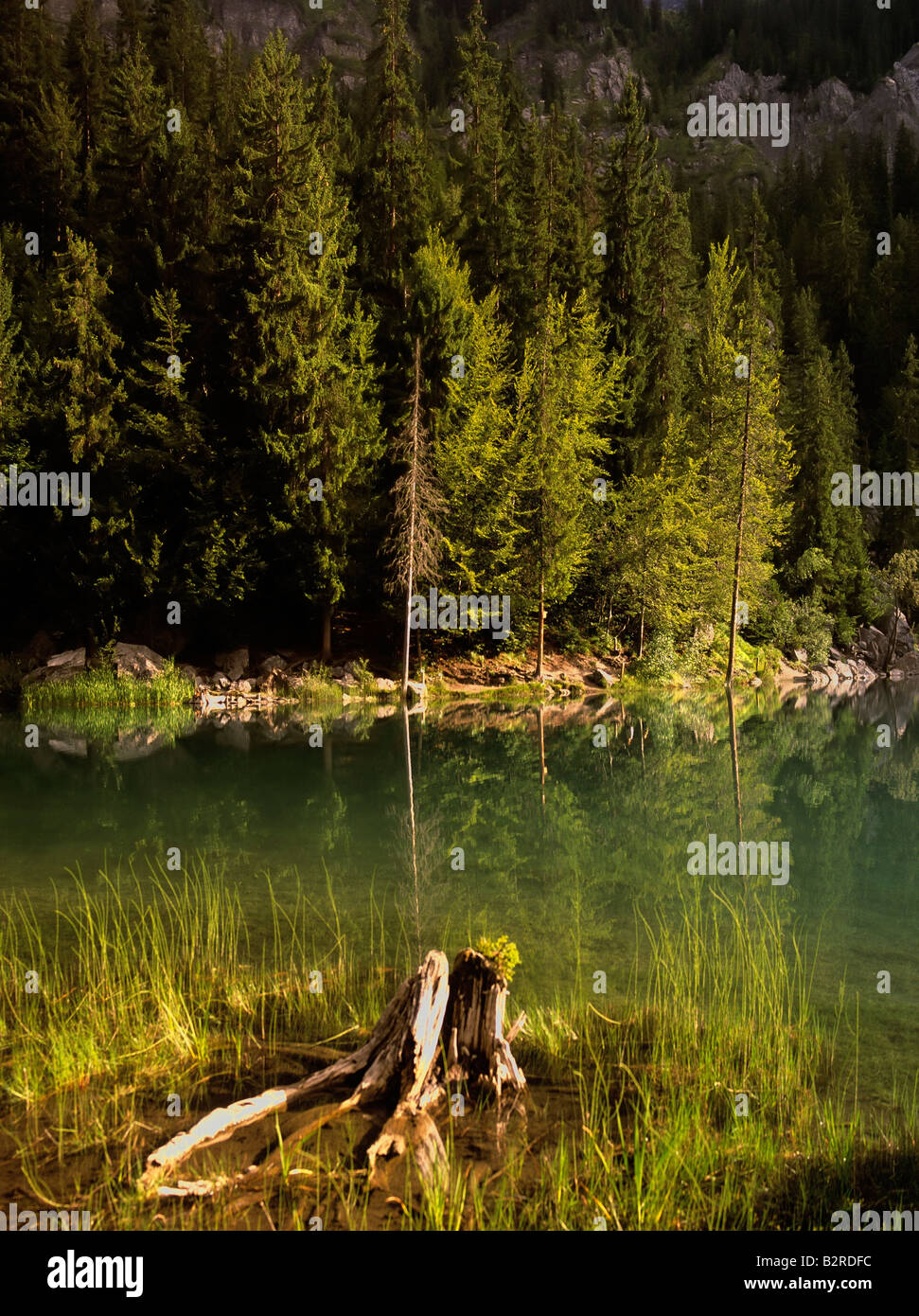 Lac vert french alps hi-res stock photography and images - Alamy