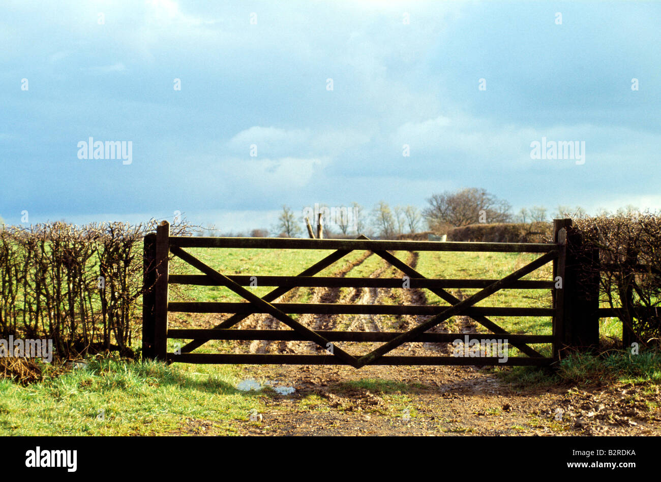 gate to a field Stock Photo - Alamy
