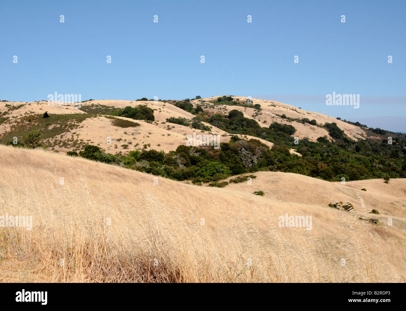 Golden foothills hi-res stock photography and images - Alamy